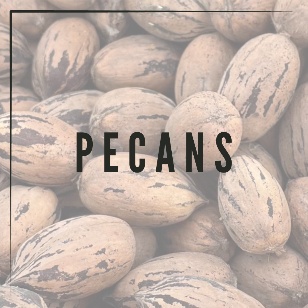 Farm Fresh Pecans – Manna Farms